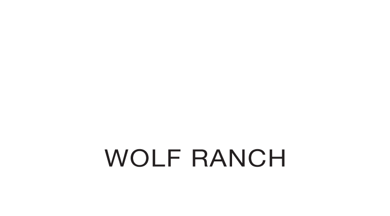 Wolf Ranch Cadence Collection - Classic Homes